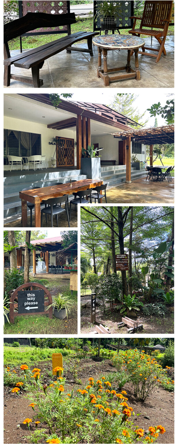 Verdeli Garden & Cafe: Celebrating Slow Living
